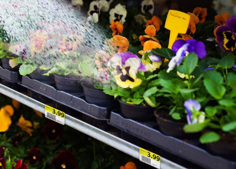 The Ultimate Guide on Thermal Printer Bin Labels | Centurion Store Supplies